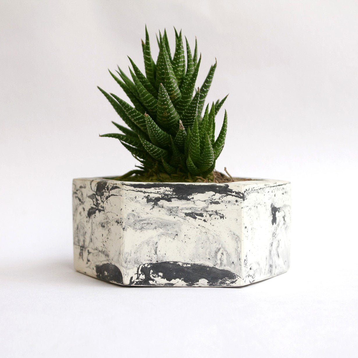 Paradox Hexagon Cement Planter / Vase / Flower Pot / Home decor ...